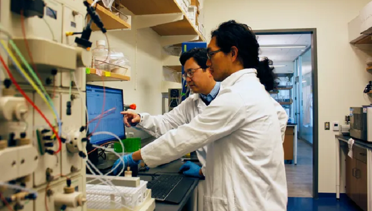 Kim on Using Biomimicry to 'Design the Future' | Biomedical Engineering